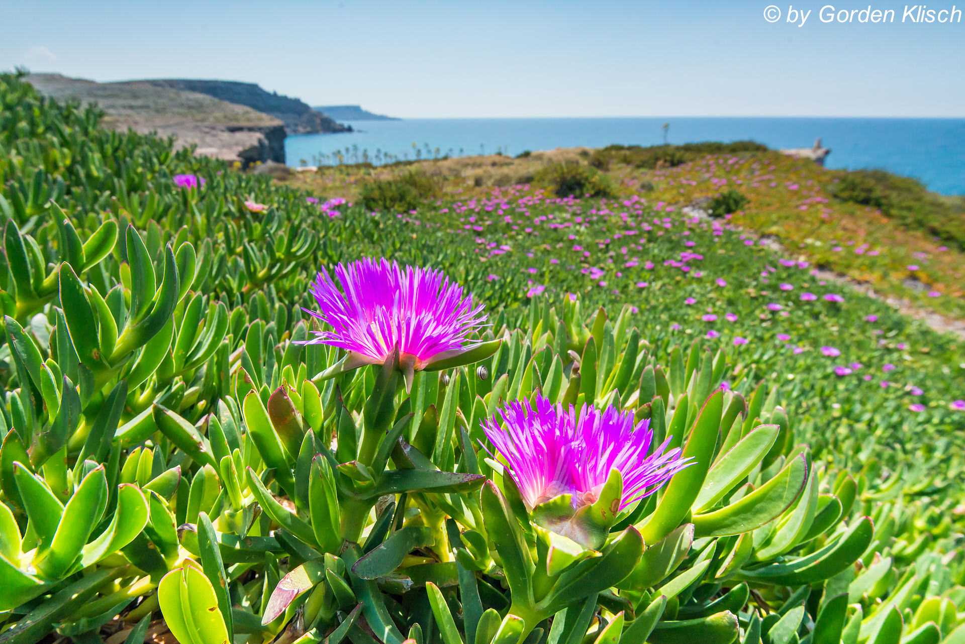 Dive Vision Malta: Travelguide for the Maltese Islands